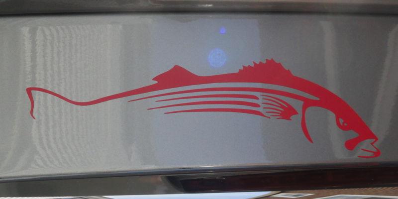Find Striper Bass 01 Fishing Sticker Decal White or Red in West Orange ...