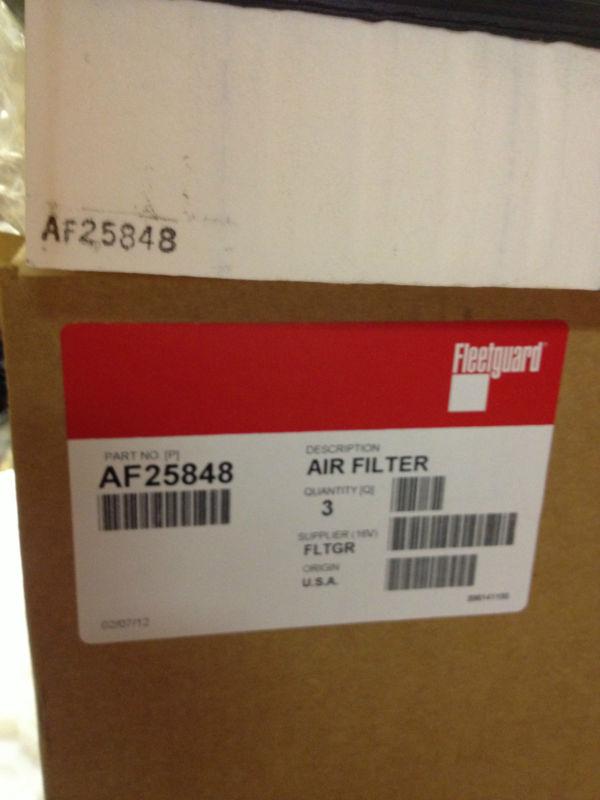 Buy 3/Box Fleetguard Filter AF25848 (Xref: CA8755A,6678;PA4134) in ...