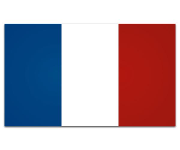 Purchase France Flag Decal 5"x3" French Vinyl Car Window Bumper Sticker ...