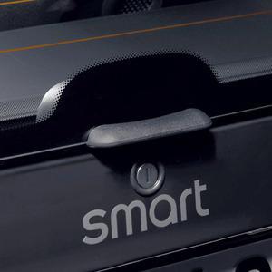 Purchase New Genuine Smart Car Rear Window Grip Handle By Brabus + 1 ...