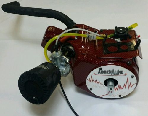 Find BRIGGS AND STRATTON ANIMAL GO KART RACING ENGINE in Evansville ...