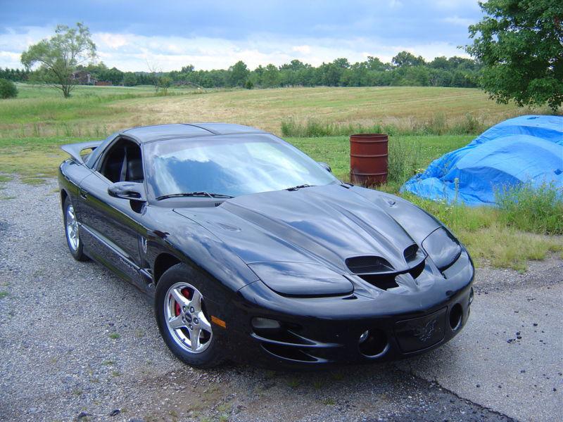 Buy WS9 Outlaw (4-inch cowl version) hood 98-02 Firebird Trans Am by U ...