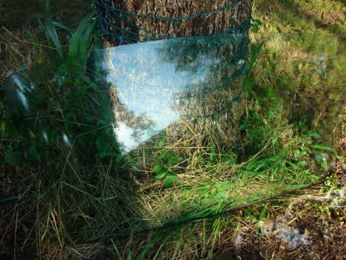 Buy 1970 BUICK RIVIERA WINDOW GLASS FRONT AND REAR GLASS!!!! in Ladonia ...