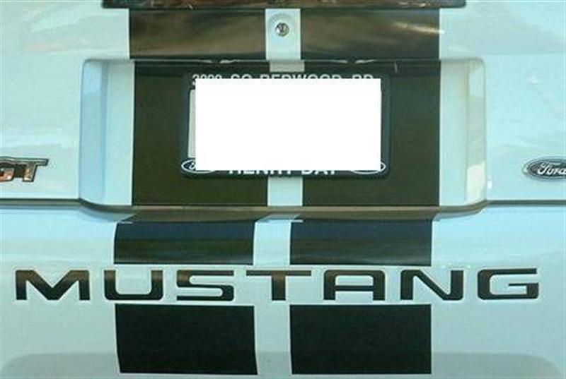 Buy 1999-2004 MUSTANG LETTER INSERTS DECALS 00 01 02 03 REAR BUMPER ...