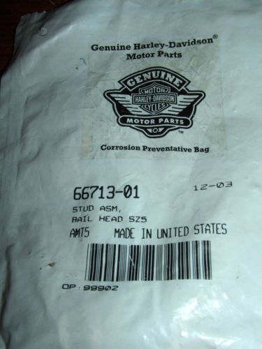 Sell 1 New Harley Davidson OEM # 66713-01 Air Box Cover Bail Head Stud ...