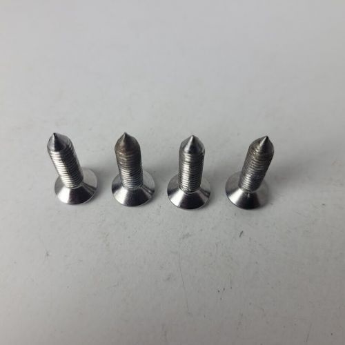 Sell 2007-2010 Hyundai Elantra Sun Visor Screws Silver Set of 4 OEM in ...