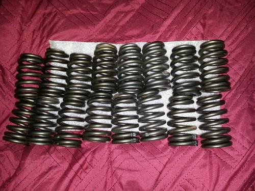 Purchase LS1 valve springs and valves in Richlands, North Carolina, US ...