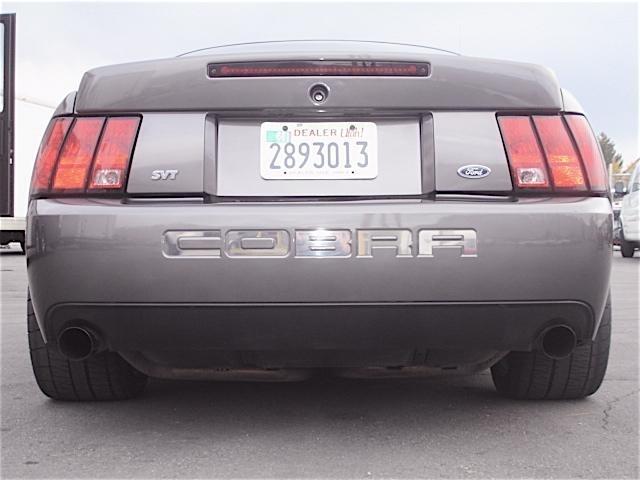 Buy Ford Mustang Cobra Rear Bumper Insert Decals 03 04 in eBay, CA, for ...